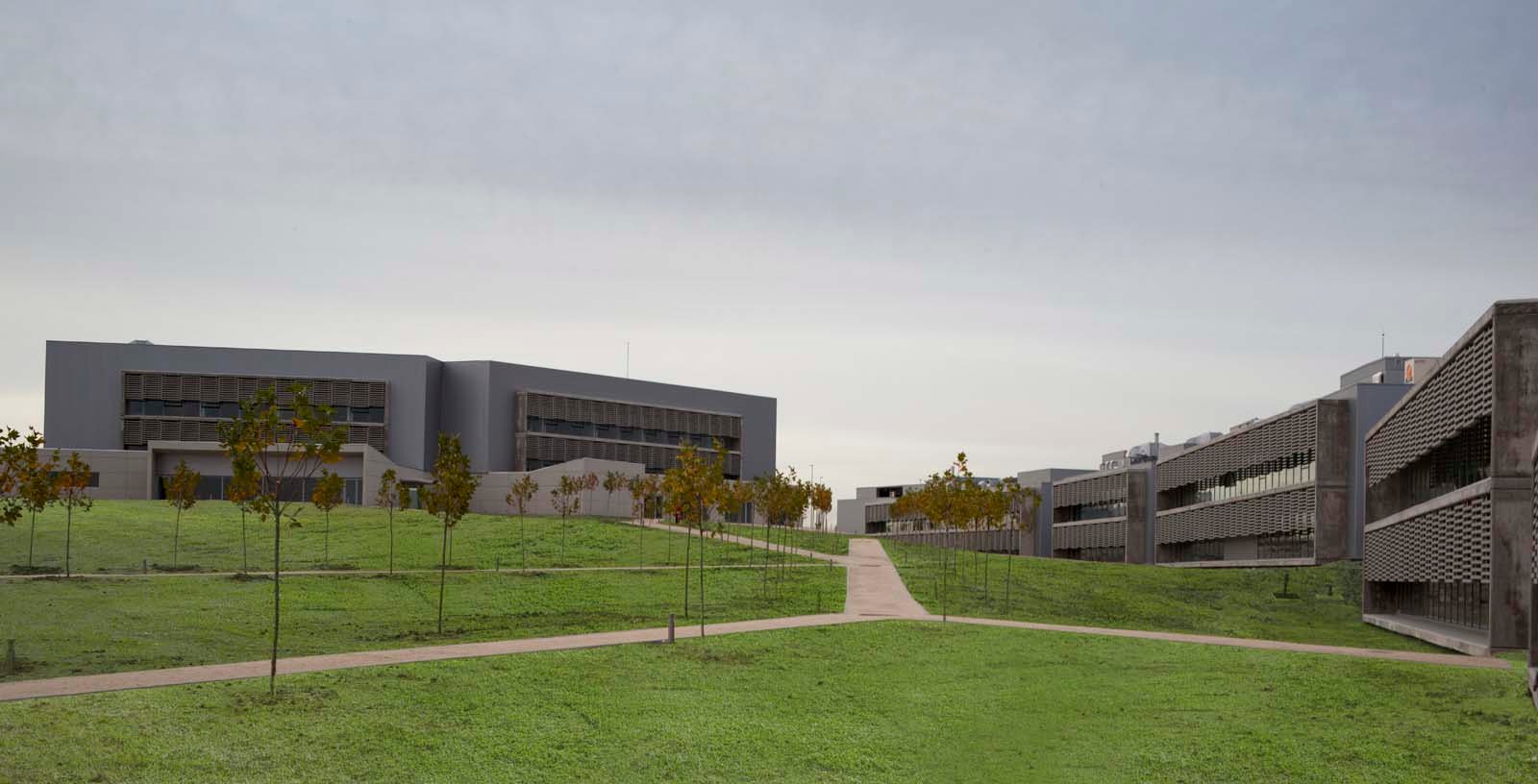 Estudiar la universidad en España | Project Robin